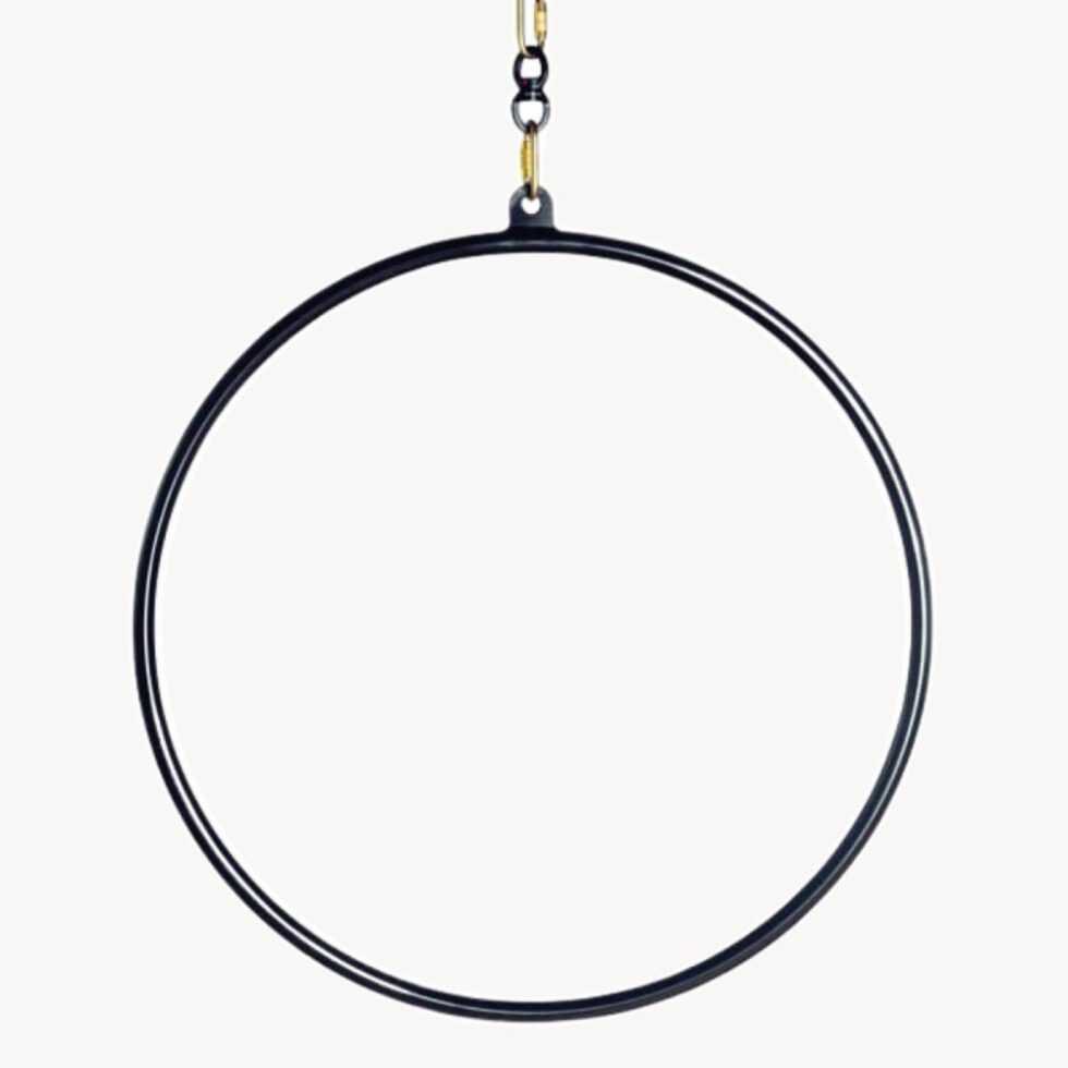 Single Point Aerial Pro HoSingle Point Aerial Pro Hoop by X Poleop by X ...